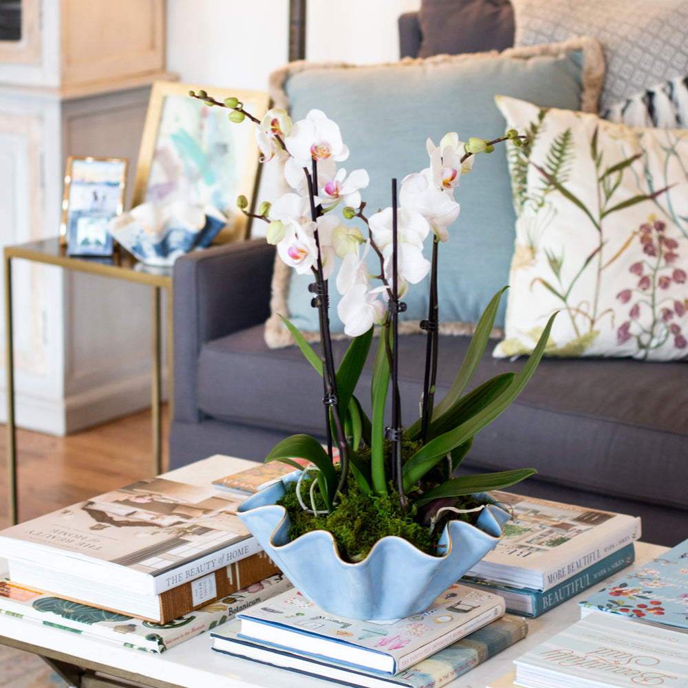 Seconds Epiphany Wavy Bowl – Shop Susan Gordon Pottery